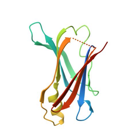 Rcsb Pdb 8i00 Crystal Structure Of A97s Transthyretin