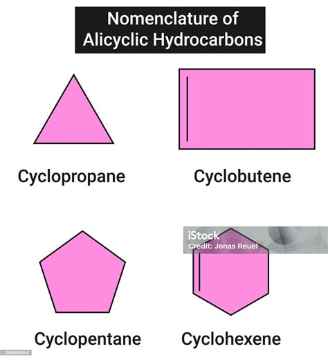 Example For Nomenclature Of Alicyclic Hydrocarbons Stock Illustration Download Image Now