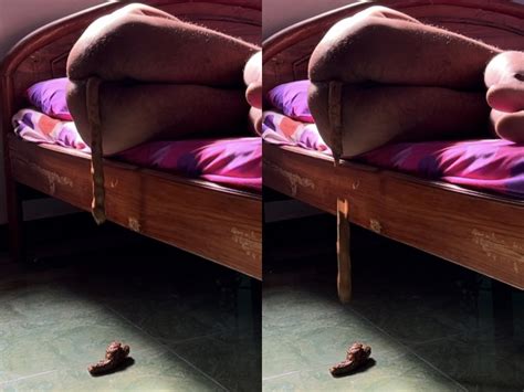 Lazy Scatmen Releasing High Quality Shit