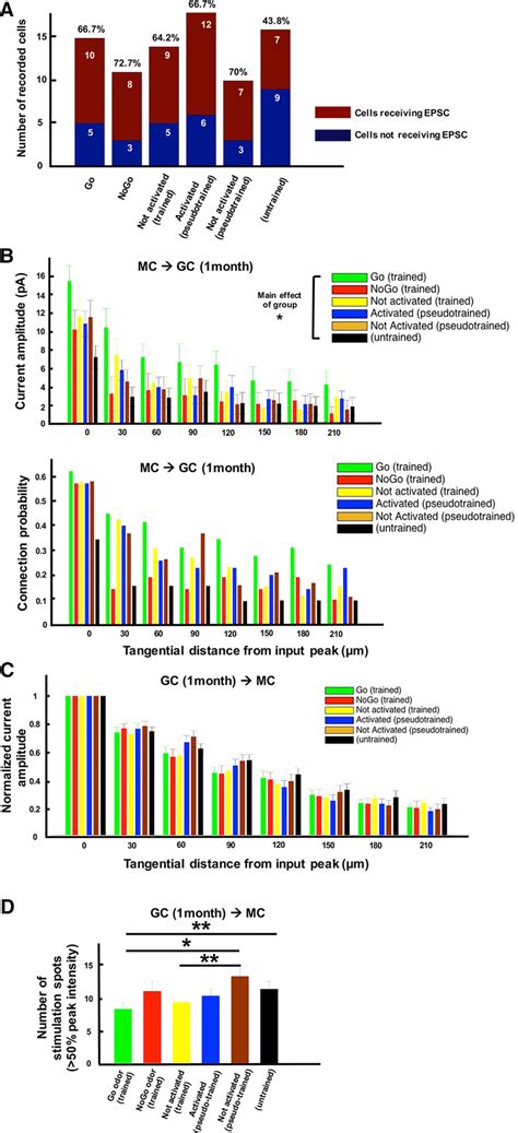 Dynamic Connectivity Patterns Between Maturing Gcs And Mcs A Numbers