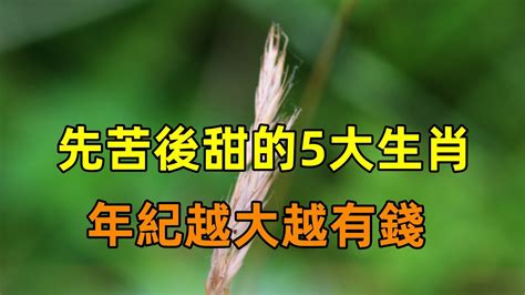 先苦後甜的5大生肖，年紀越大越有錢，晚年大富大貴！ Youtube
