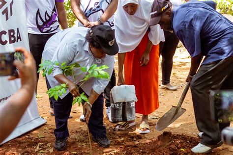 Kitomari Banking And Finance Blog Ncba Bank Plants 1000 Trees At