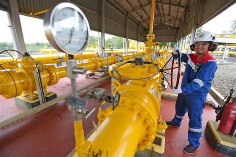 Subholding Gas Pertamina Jaga Performa Transporter Gas Bumi Untuk