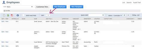 NetSuite Inline Editing SuiteRep