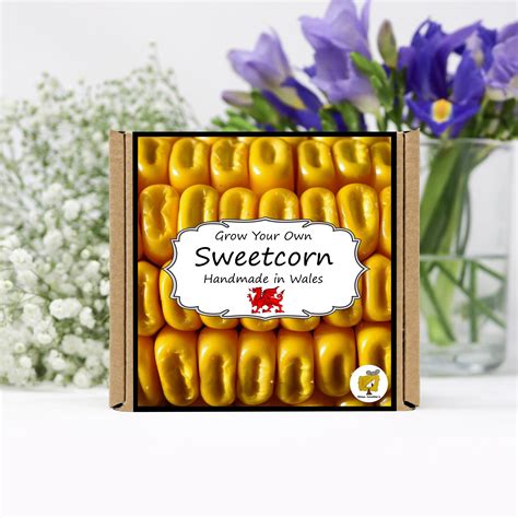 Grow Your Own Sweetcorn Veg Growing Kit Miss Amelias Home Page