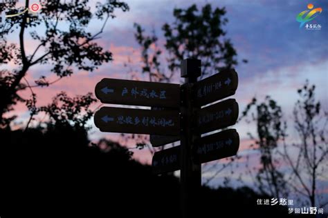 现场直击｜“巴山美村·父亲原乡”乡村振兴特色示范区开园仪式美图合辑界面新闻