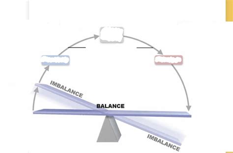 Ch 1 The Human Body Orientation And Organization Diagram Quizlet
