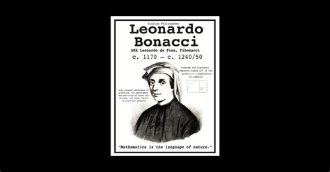 Fibonacci Math Poster Math Sticker Teepublic