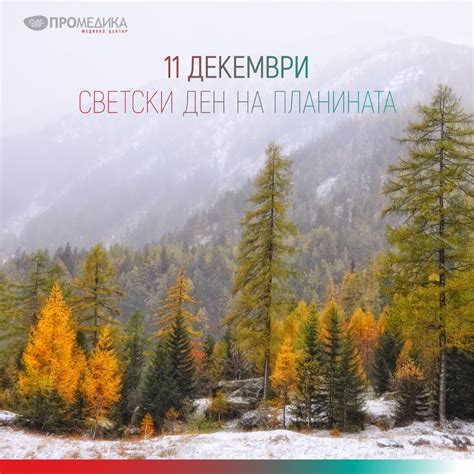 Промедика Медикал Центар Home Facebook