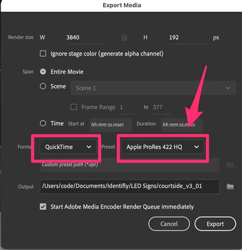 export adobe animate to video turnspike