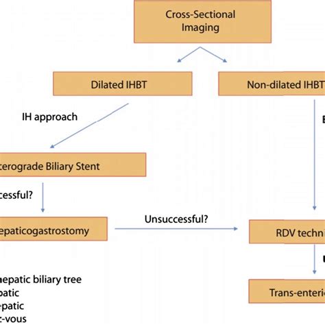 Algorithm Used In Our Center For Eus Guided Bd Technique Selection Download Scientific Diagram