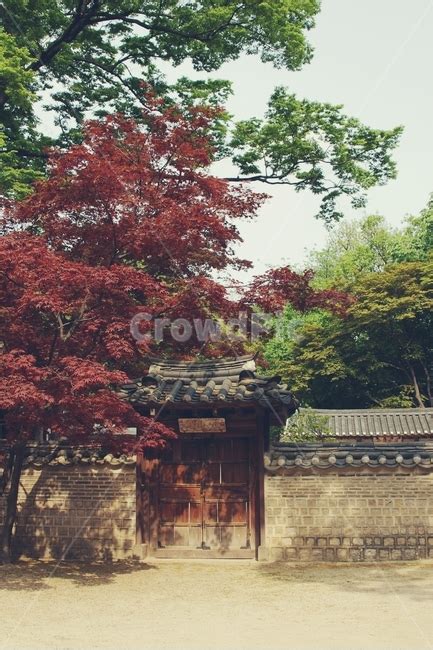 전통 성 창경궁 Traditional 한국 사진이미지일러스트캘리그라피 Arcas작가