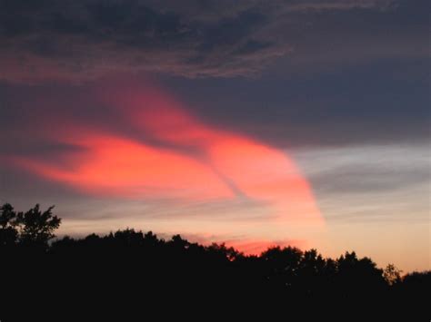 Cloud Gallery