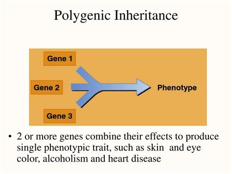 PPT Nucleic Acids Protein Synthesis Unveiling The Secrets Of Genetics PowerPoint