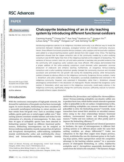 Pdf Chalcopyrite Bioleaching Of An In Situ Leaching System By Introducing Different Functional