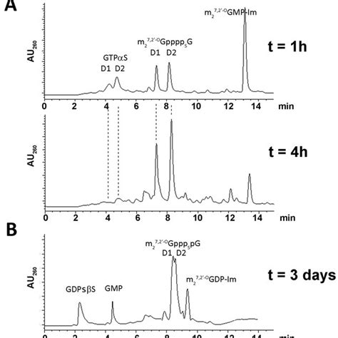 Cap Structures A A General Depiction Of The Eukaryotic Mrna 5 End Download Scientific