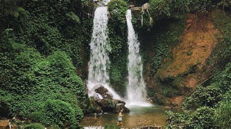 Wisata Di Tengah Hutan Wisata Terbaru Yang Unik Dengan Kelangkaan Pemandangannya Dijamin