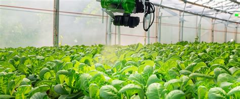 Customizable Schedules The Smart Solution For Efficient Irrigation
