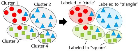 Labeling The Left And Right Parts Are The Results Of Clustering And