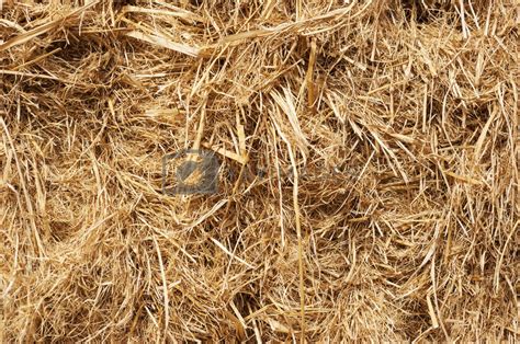 Dry Straw Texture By Tom4ic Vectors And Illustrations Free Download