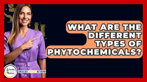 What Are The Different Types Of Phytochemicals Oncology Support