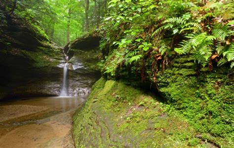Turkey Run State Park Visittousa
