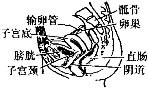 孕妇要防尿路感染 怀孕知识