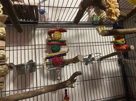 I Bought Some New Toys For Sun Very Few But Its What I Could Get For