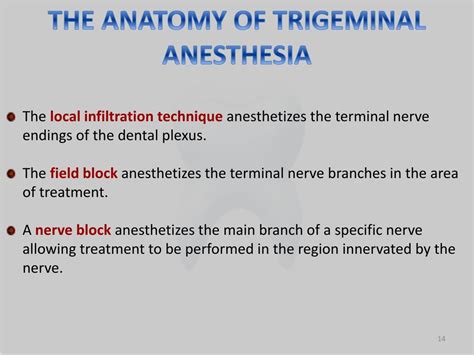 PPT TRIGEMINAL NERVE PowerPoint Presentation Free Download ID 2586490