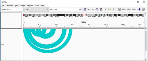 玩转基因组浏览器之展示rna二级结构 Csdn博客