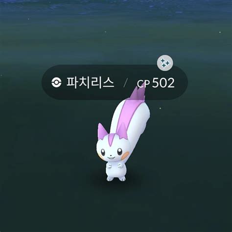 포켓몬고 이로치 파치리스 구매합니다 당근 중고거래