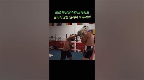 프로복서와 복싱스파링도 이겨버리는 일리아 토푸리아 Mma Ufc Topuria Youtube