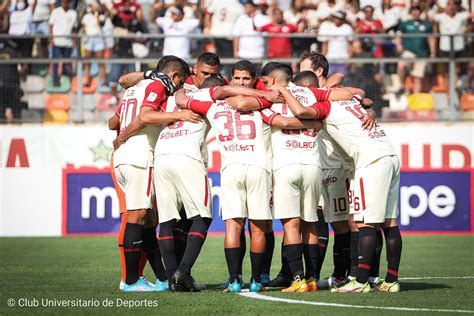 विश्वविद्यालय जीन फेरारी का कहना है कि फेडेरिको अलोंसो और हर्नान नोविक पर क्रीम प्रशंसकों