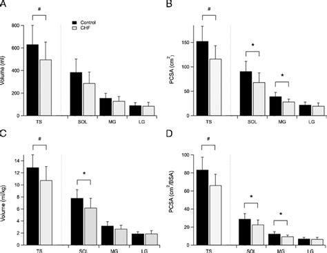 Muscle Volume And Pcsa Values For The Total Triceps Surae And Download Scientific Diagram