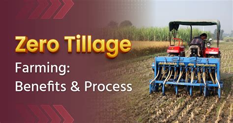 Zero Tillage Farming Benefits And Process
