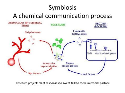 Activation Of Calcium And Calmodulin Dependent Protein Pptx