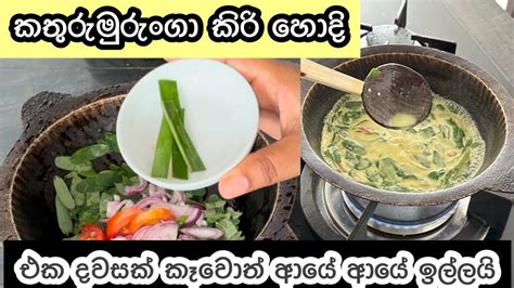 කතුරුමුරුංගා කොළ කිරි හොද්ද•• හැමදාම මැල්ලුම් නේද කෑවේ මෙහෙම කිරි හොදි හදලා කාලා බලන්නකෝ Youtube