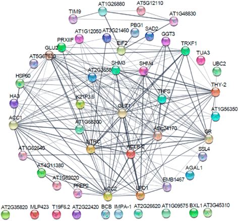 Protein Protein Interaction Network Analysis Of Salt Responsive Proteins Download Scientific