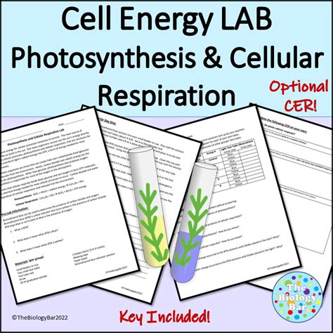 Photosynthesis And Cellular Respiration Lab Made By Teachers