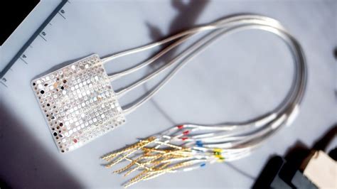 How The Brain Detects The Rhythms Of Speech Technology Networks