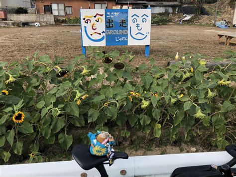 四国一周サイクリング50走目 2023 11 23 瀬戸内しまなみ海道（南エリア）の写真58枚目 出走グランドじゃけん？？ へのへのも