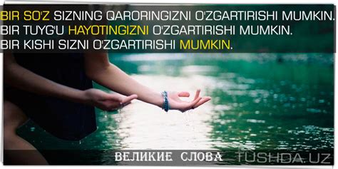 Aforizmlar ⋆ Tush Tabirlari Mukammal Sayt