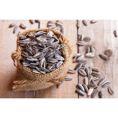 Jual Kuaci Biji Bunga Matahari Sunflowers Seeds Shopee Indonesia