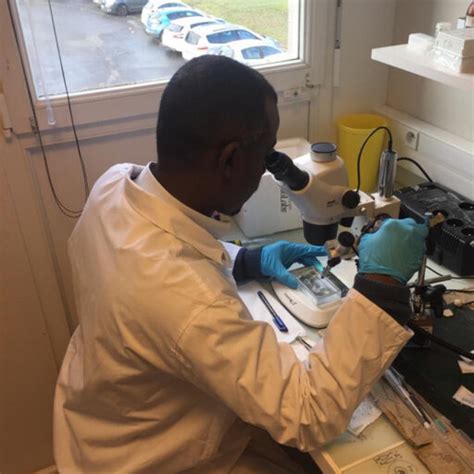 Omar Hashim Assistant Professor Head Of Department University Of Gezira Wad Medani