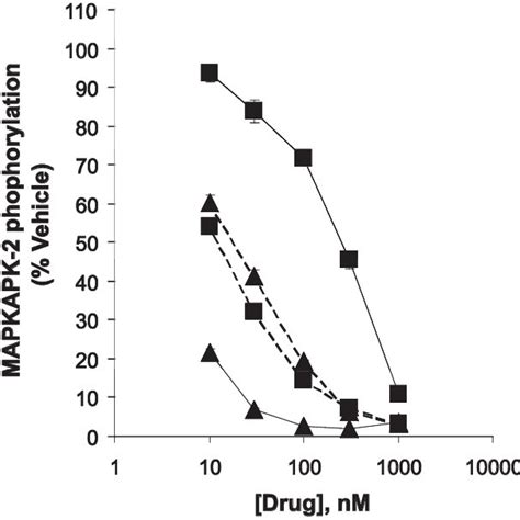 The Effects Of A Conventional And A Macrophage Targeted P38 Map Kinase