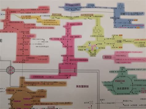 生化还在看三大代谢图四大代谢图？九大代谢图真香 搜狐大视野 搜狐新闻