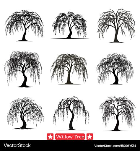 Harmony In Nature Willow Tree Pack For Serenity Vector Image