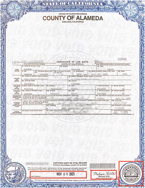 Authenticating Birth Certificate