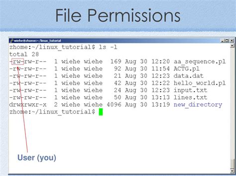 Ppt Learning Unixlinux Powerpoint Presentation Free Download Id