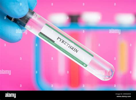 Pyrethrin Insecticide A Natural Insecticide And Repellent That Is Commonly Used In Sprays And